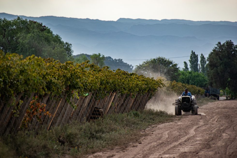 COVIAR y la Sociedad Rural Argentina unen fuerzas para impulsar la ...